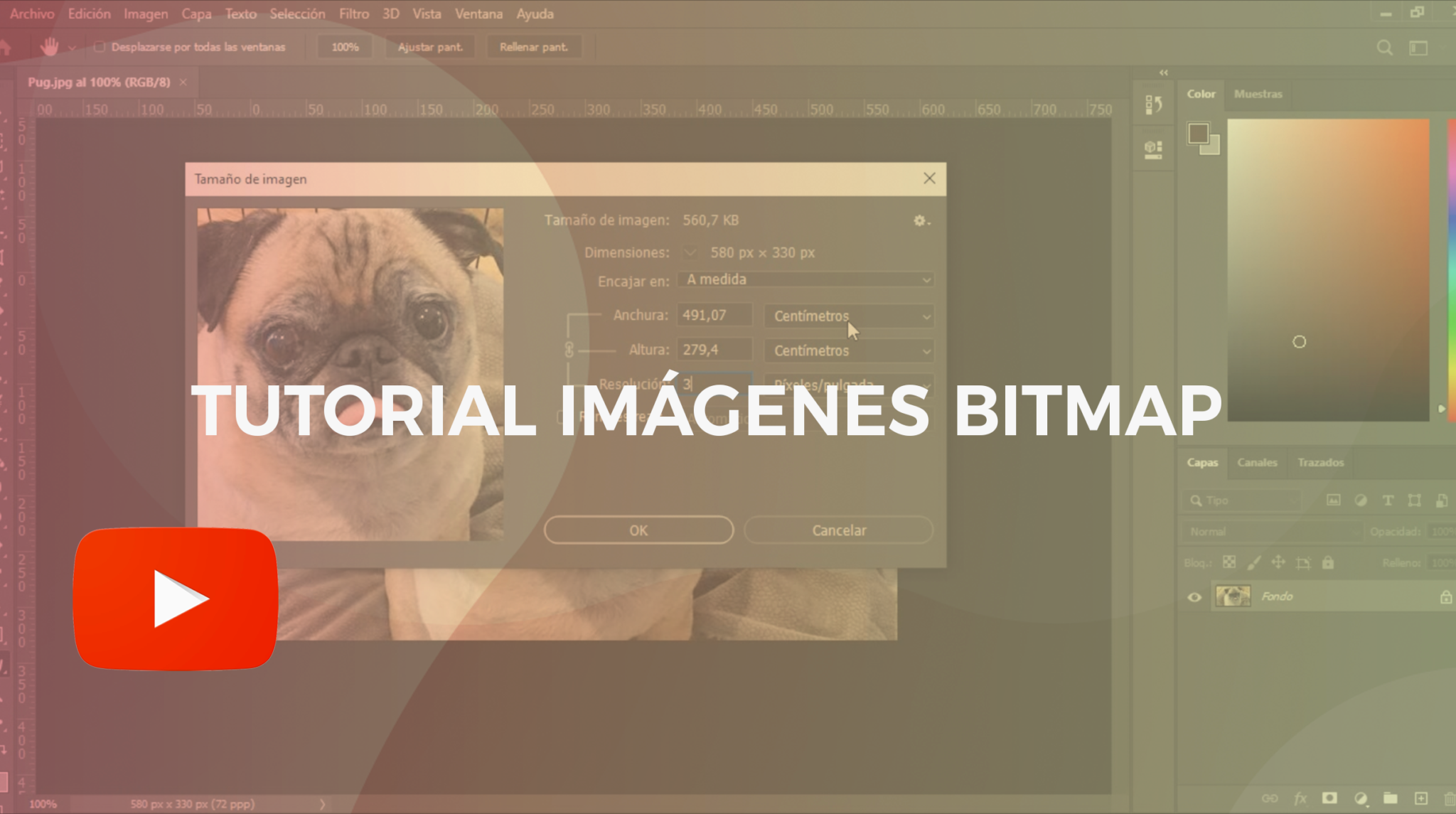 Blog - Tecno 2B FdA UNLP